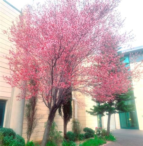 techjet aerofoils on linkedin equinox springtime newbeginnings