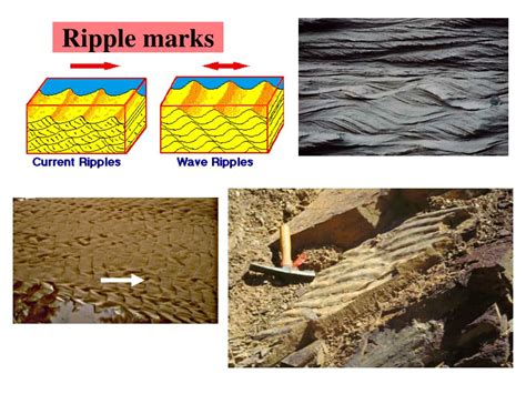 PPT - Sedimentary Rocks PowerPoint Presentation, free download - ID:339227