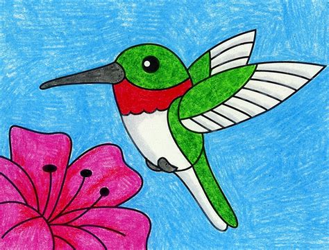 How To Draw Hummingbirds