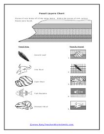Fossils Worksheets Worksheets Library