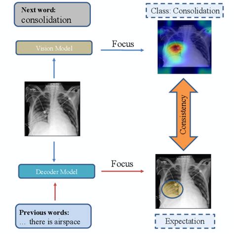 figure 3 from camanet class activation map guided attention network