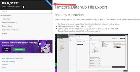 Csv Export Support · Issue 93 · Pimcoredata Hub · Github