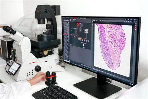 Histological Staining Experimentica