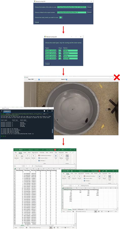 Github H Dempsey Manual Scoring Gui