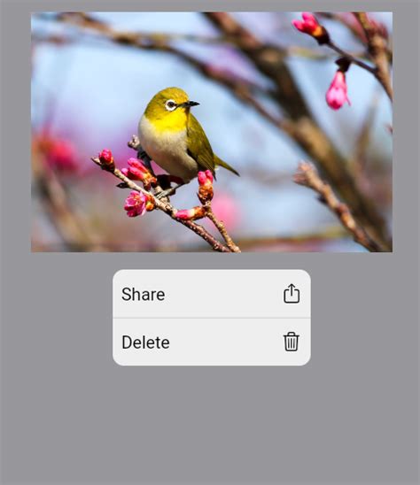 Cupertino Context Menu Ios Iphone Style Flutter By Suraj Kandel Medium