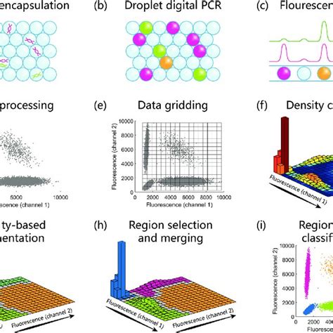 Schematic Diagram Of The Density Watershed Algorithm Dwa As A Robust Download Scientific