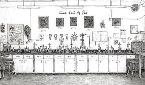 Acids And Bases Knowledge Is The Only Good