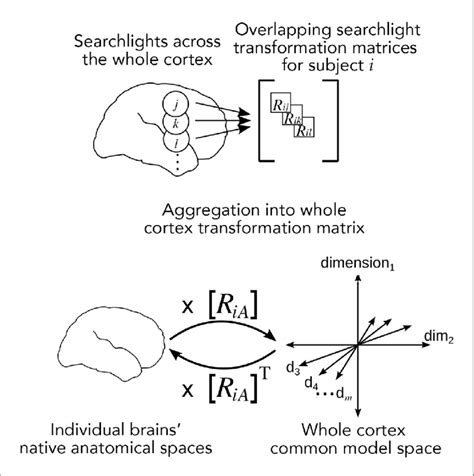 searchlight hyperalignment for building a common model and
