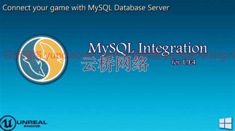 ue4商城资源mysql integration数据库集成插件 云桥网络