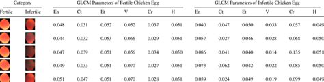Example Of Glcm Parameters Calculations For 5 Fertile And 5 Infertile Download Scientific