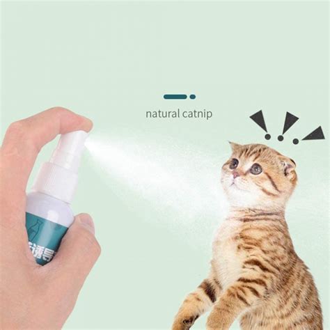 Catnip 100 Orgánico Para Gatos 50 Ml Catnip 100 Orgánico Para Gatos 50 Ml