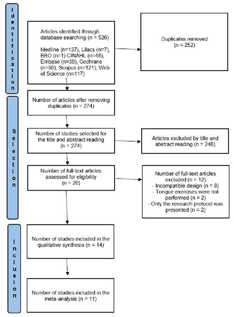 flowchart with the various phases of the review based on the prisma