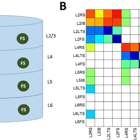 Proposed Neural Mass Model Of The Cortical Column A Layer