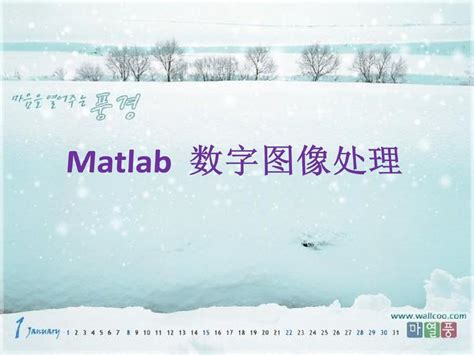 Matlab图像处理教程及方法 Word文档在线阅读与下载 无忧文档