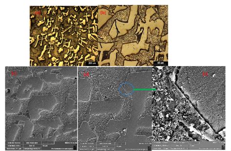 microstructural analysis a optical micrograph b higher