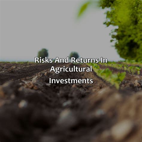 What Is The Best Agricultural Investment Retire Gen Z