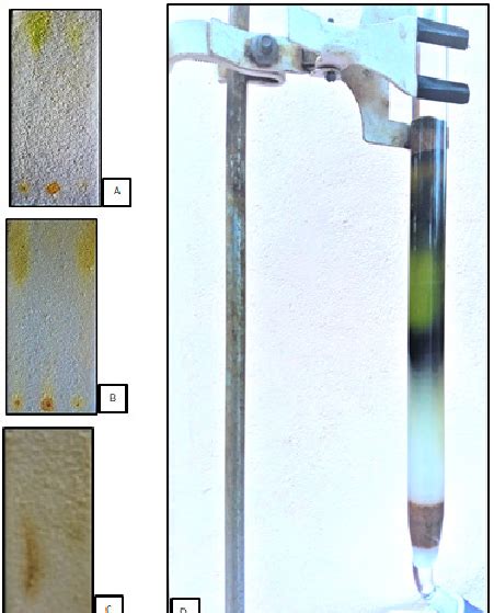 Fractionation Of Bioactive Crude Extracts Leafmethanol Extract And Download Scientific Diagram