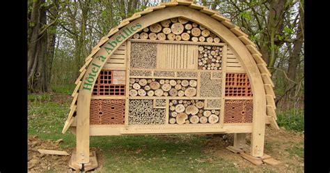Here S How You Can Build Bee Hotels To Help Save Native Bees
