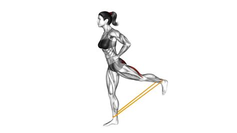 Resistance Band Glute Kickback Standing Balance Exercise Guide And Tips