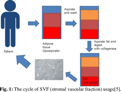 Figure 1 From The Bldc And Stepping Motor Control Firmware Program Ming To Improve Efficiency Of