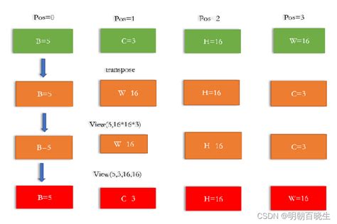 P3 Pytorch 维度变换tensor更换数据维度代码 Csdn博客