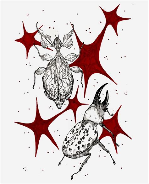 Bug Illustration Beetle Art Bugs Drawing Insect Art