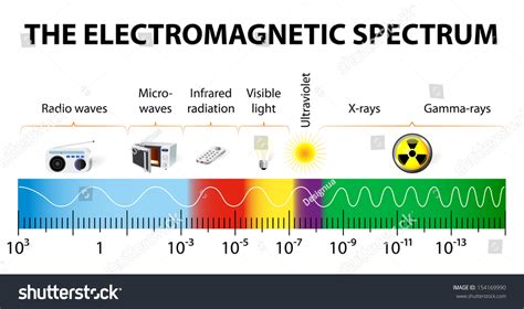 Electromagnetic Spectrum Vector Diagram Different Types Stock Vector Shutterstock