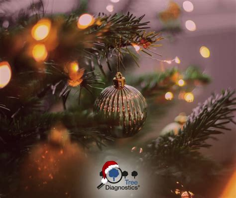 Treediagnostics Digitalcard Merrychristmas Tree Diagnostics