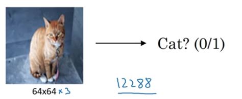 Week Convolutional Neural Networks