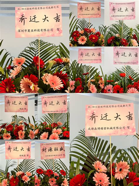乔迁大吉热烈祝贺四川金软科技有限公司成都片区喜迁新址！ 成都易鼎通科技有限公司
