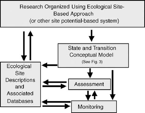Framework For Organizing Synthesizing And Applying The Evolving Download Scientific Diagram