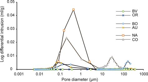 Exploring The Pore System Of Carbonate Rocks Through A Multi Analytical Approachenvironmental