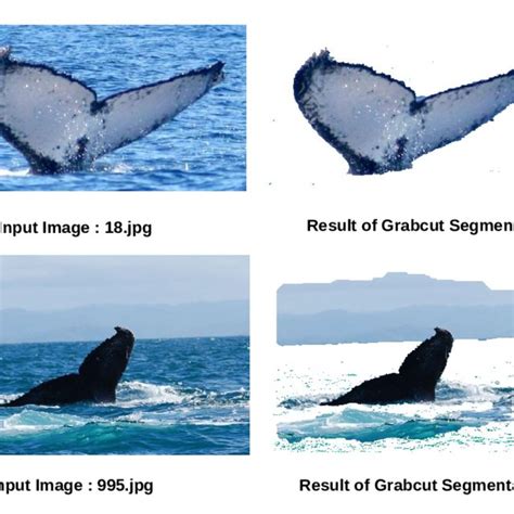 Result Of Grabcut Segmentation Download Scientific Diagram