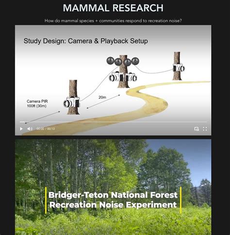 Experiment Ideas Boombox