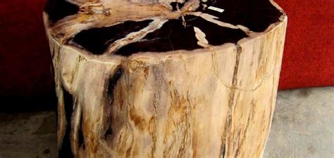 How To Make A Tree Stump Stool Easy Steps