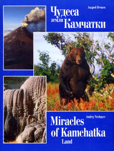 Чудеса земли Камчатки — Нечаев А М