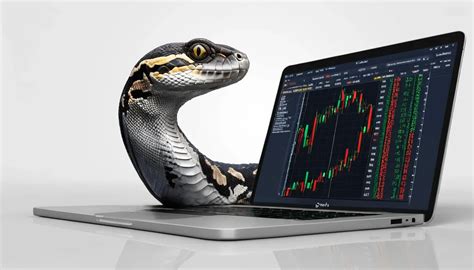 Unlocking Kaggle Datasets A Guide To Obtaining And Installing Your Api Key By Unicorn Day