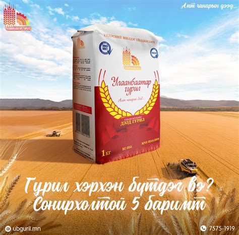 Ulaanbaatar Guril Улаанбаатар Гурил Бидний өдөр тутамдаа ашигладаг цагаан гурил хэрхэн яаж