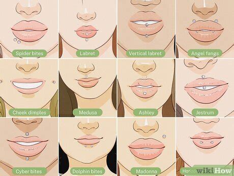 Lip Anatomy For Piercing