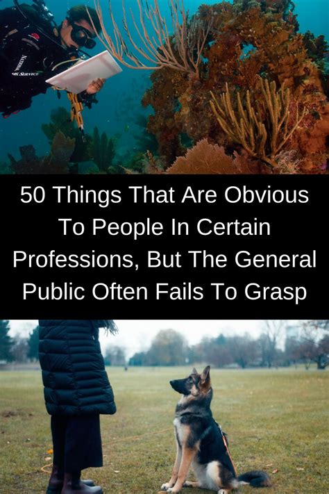 70 Paradox Examples That Will Mess With Your Mind Artofit