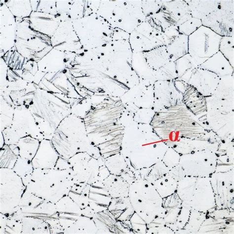 Microstructure Of Commercially Pure Titanium Sm Co Mag 200x