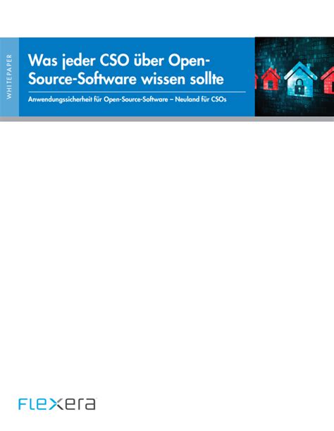 Flexera Software Für It Experten Siliconde