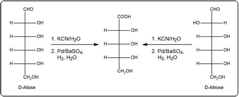 Show That The Ruff Degradation Of Either D Allose Or D Altrose Re