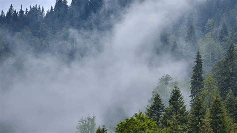 Cobalt Systems Ltd On Linkedin Cobalt Systems Is Carbon Neutral Cobalt Systems