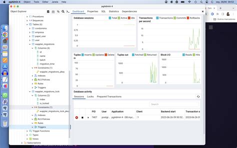files missing in database manager need help wappler community