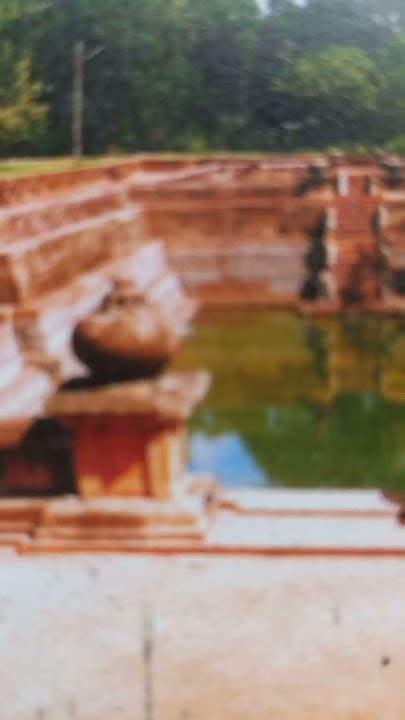 අභයගිරි විහාරවාසී භික්ෂූන් පමනක් භාවිතා කල කුට්ටම් පොකුණ 🤝💫 Lake Youtube