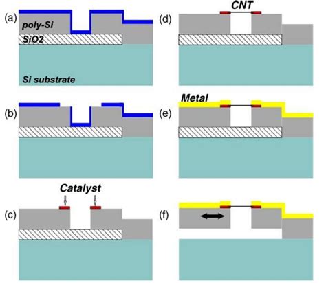 Schematic Diagram Of The Process Flow A Pmma Spin Coating