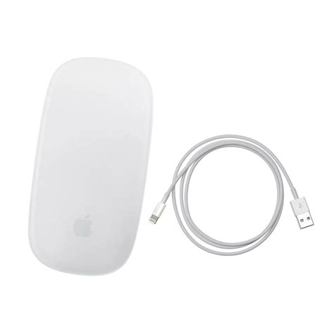 Apple Wireless Magic Mouse