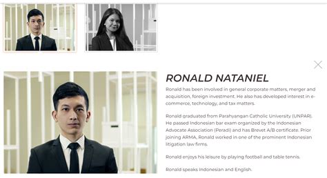 emulating custom accordion style in squarespace code blocks