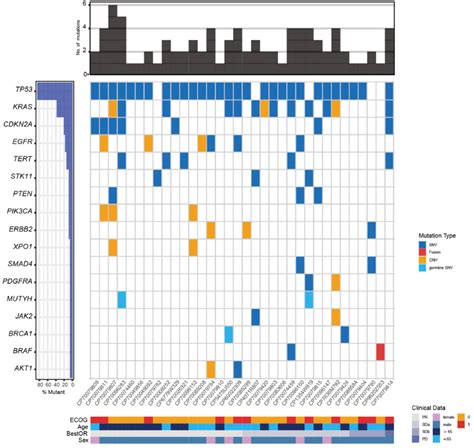 Mutational Profile And Clinical Response Download Scientific Diagram